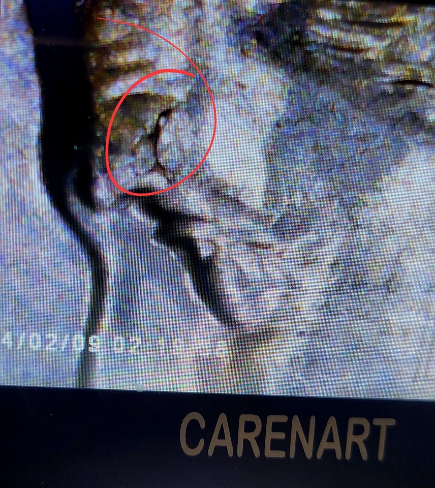 2021-P Roosevelt Dime, Error Coin, Die Chip, Rare Find | eBay