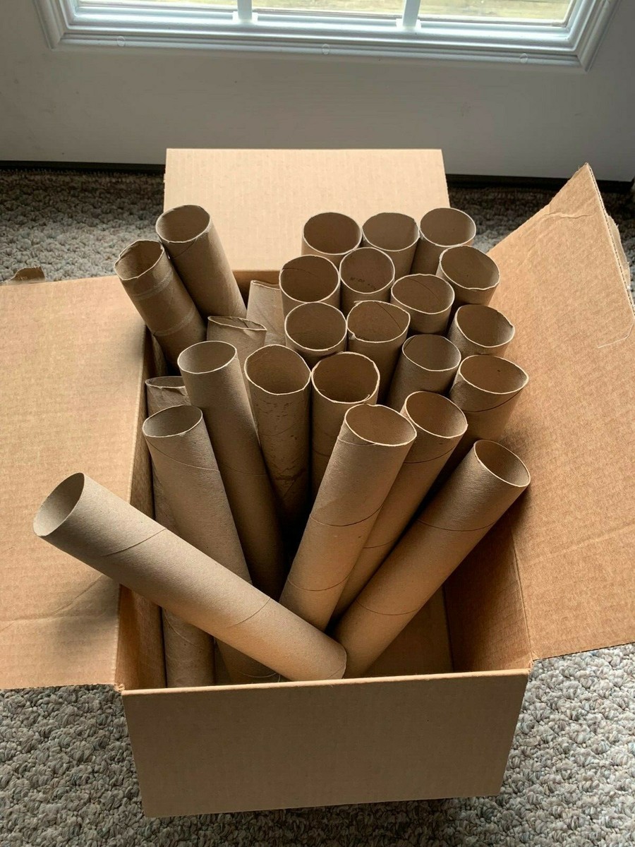 Empty Paper Towel Roll