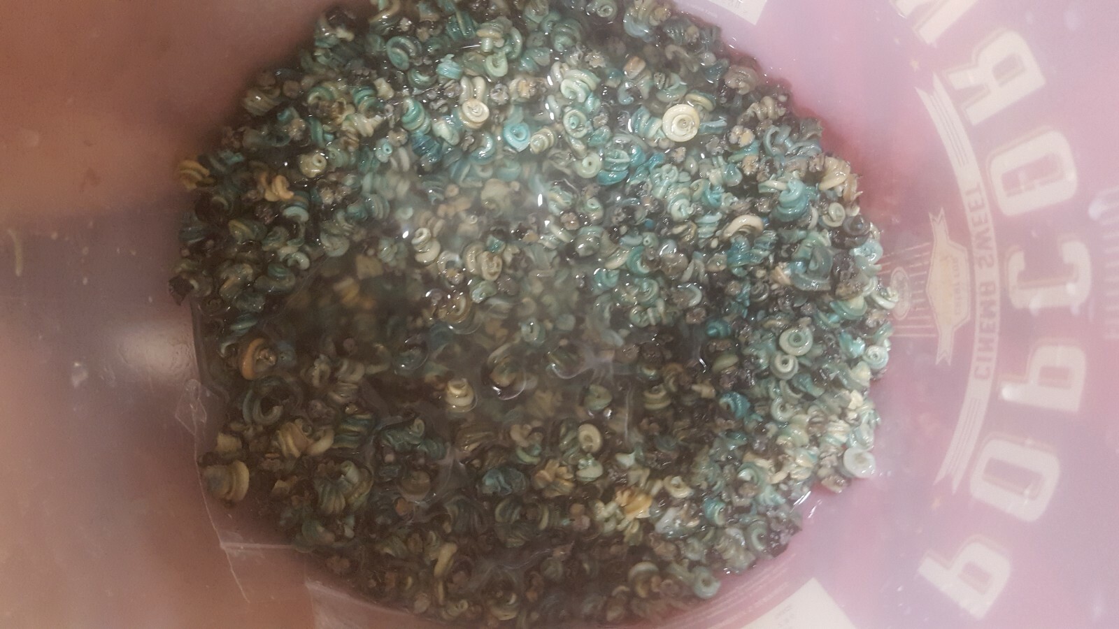 Isam (periwinkle) Frozened Nigerian sea food. 80g@£10.00+£4.50, Next ...