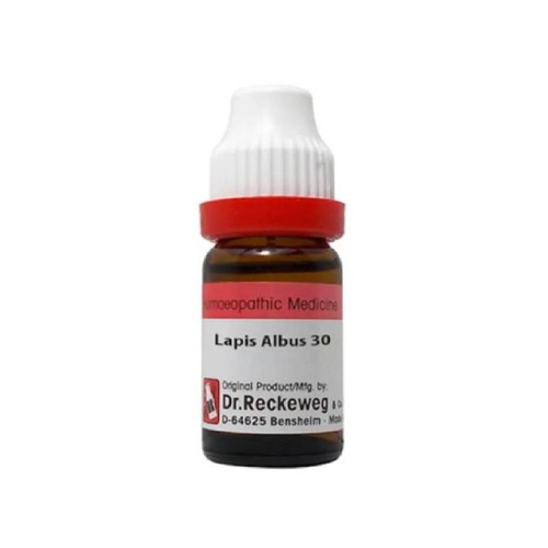 Dr. Reckeweg Lapis Albus (11 ml) (Select Potency) | eBay