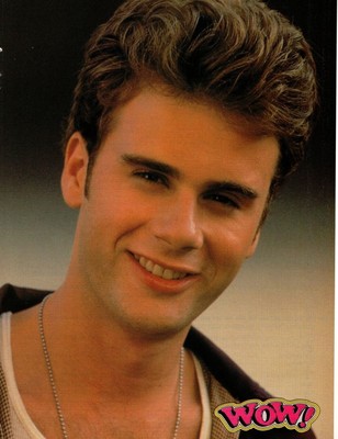 Jamie Walters portrait pinup The Heights Beverly Hills 90210 Wow ...