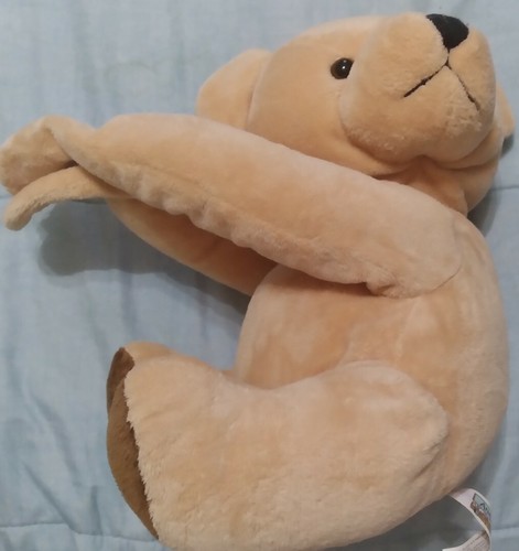 Animal Alley Bear Plush (11" Inch) (Taking Offers) (USED) | eBay