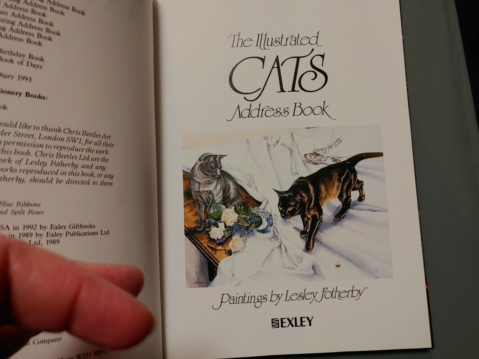 The Illustrated CAT ADDRESS BOOK By Lesley Fotherby - Hardcover | eBay