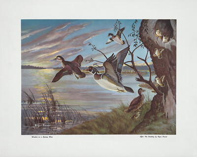 ROGER PREUSS Vintage XRare 1953 Color Halftone Print WOODIES ON A ...