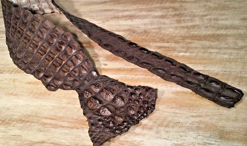 Full CROCODILE BACK-STRAP High Ridges Australian exotic belt hatband | eBay