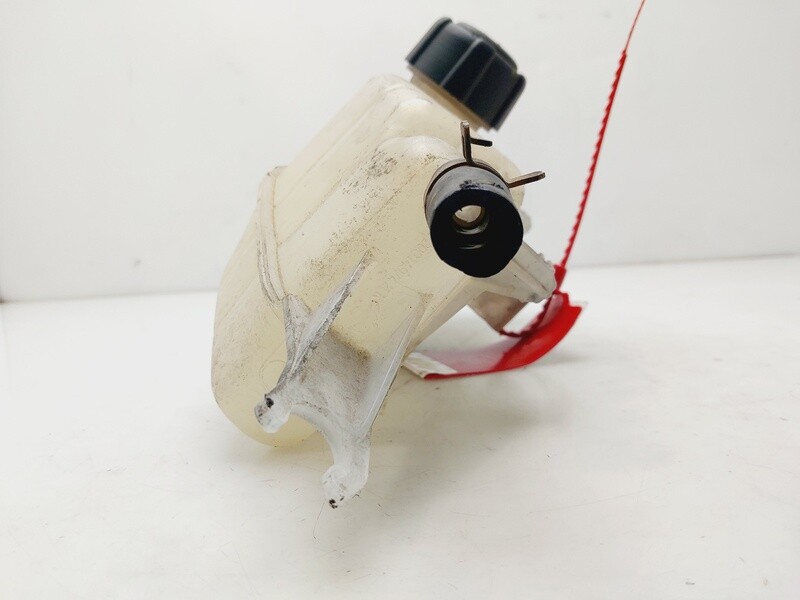 7701477290 expansion tank for Renault Clio III AUTHENTIC | eBay