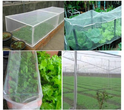 Plant Garden Mesh Net Netting Crop Vegetable Protection Blueberry ...