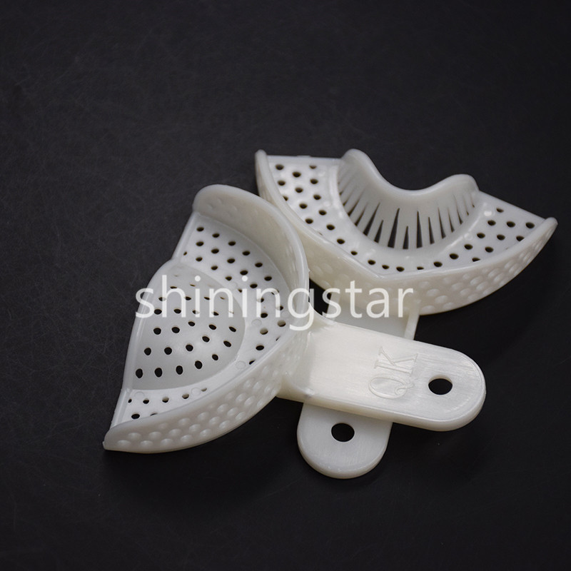 10 Pairs Dental Impression Trays Plastic Steel Quadrant Anterior Bridge ...