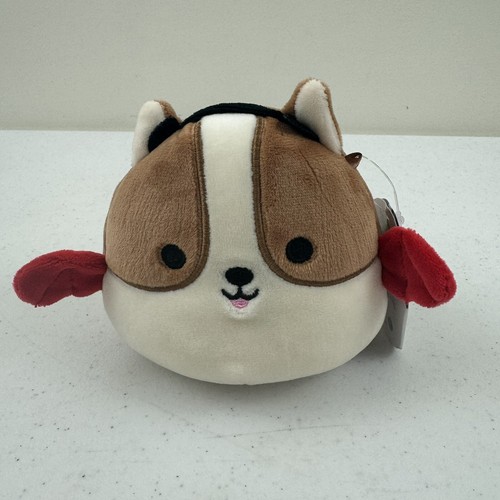 Squishmallow Reginald Halloween Bat Corgi Dog Plush 6” 734689470327| eBay