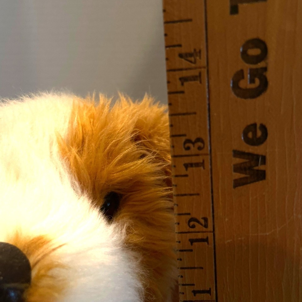 Barking Sensored Plush Saint Bernard Dog Stuffed Animal Toy Realistic Design Sof | eBay