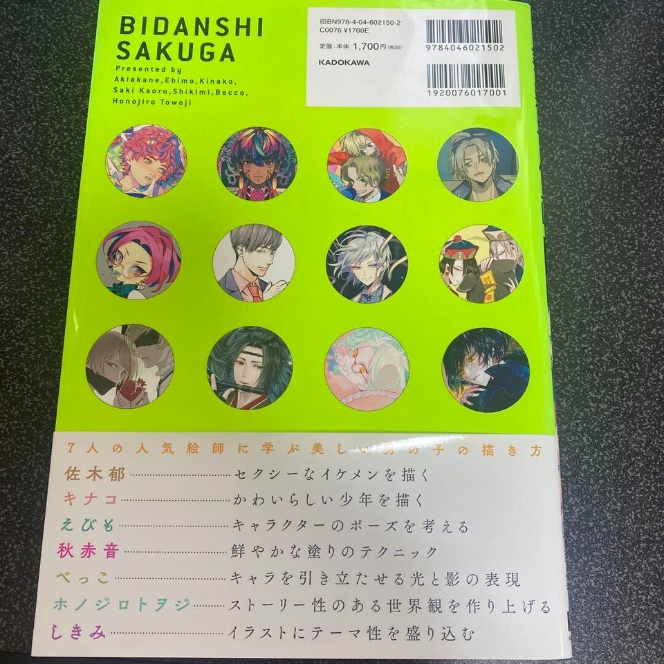 Professional Skills to Learn From Scratch Book: Bidanshi Sakuga Kinako ...
