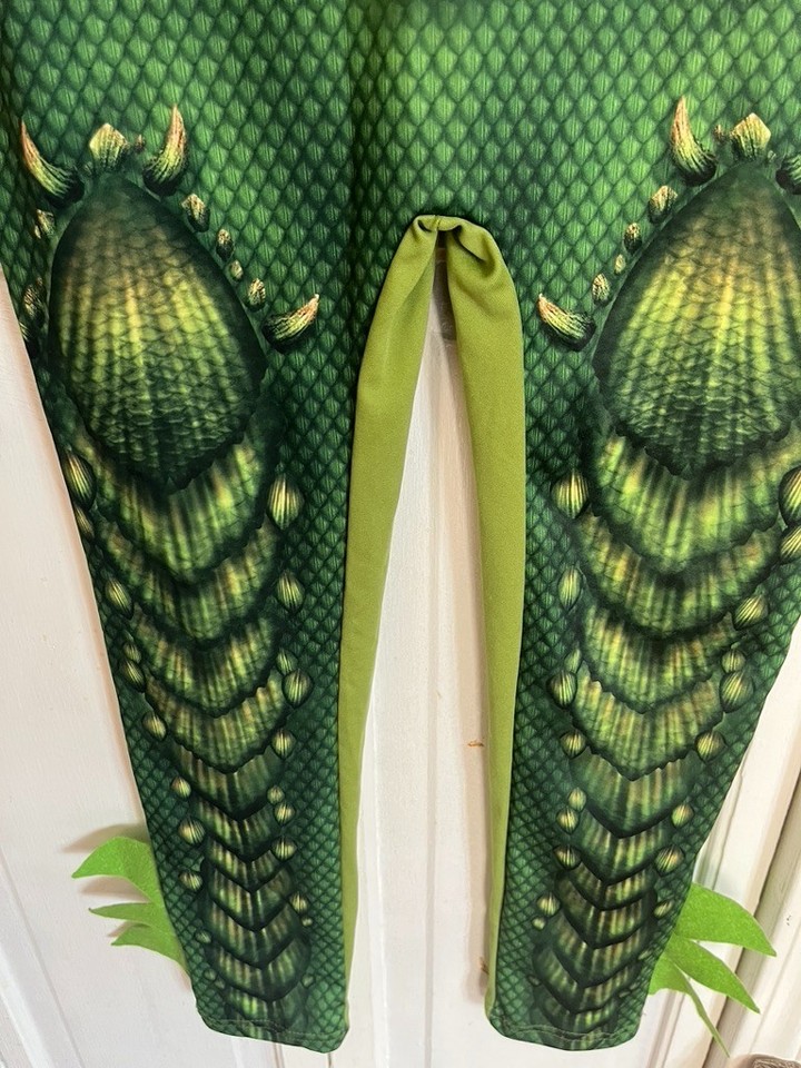 Lizard Halloween kid costume wings mask sz medium 6-8 years 100% poly ...