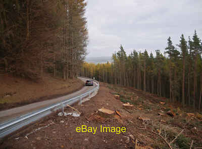 Photo 12x8 Down the Blackfold road Dochgarroch This area of forest has ...