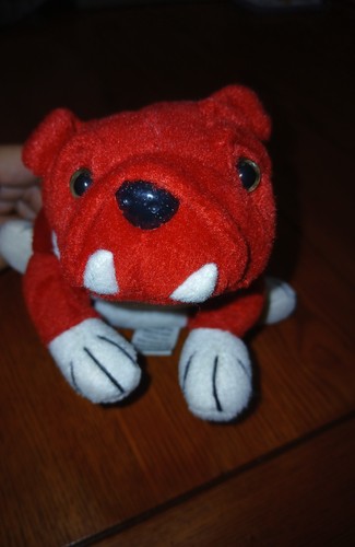 The K-12 Mascots Collection Dallas TEXAS 2000 BULL DOG | eBay