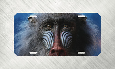 Baboon Africa Monkey rafiki Safari Wild License Plate Auto Car Tag FREE ...