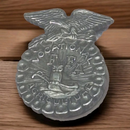 VINTAGE AGRICULTURAL EDUCATION FFA SCREWBACK PIN Silver Finish | eBay