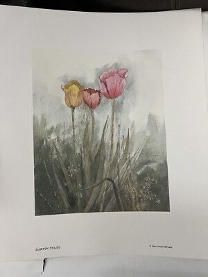 Mary Vincent Bertrand Signed Numbered Floral Art Print; DARWIN TULIPS ...