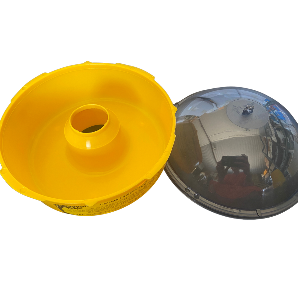 Plastic Dome Wasp Trap Insect Asian Hornet Trap Outdoor & Indoor ...