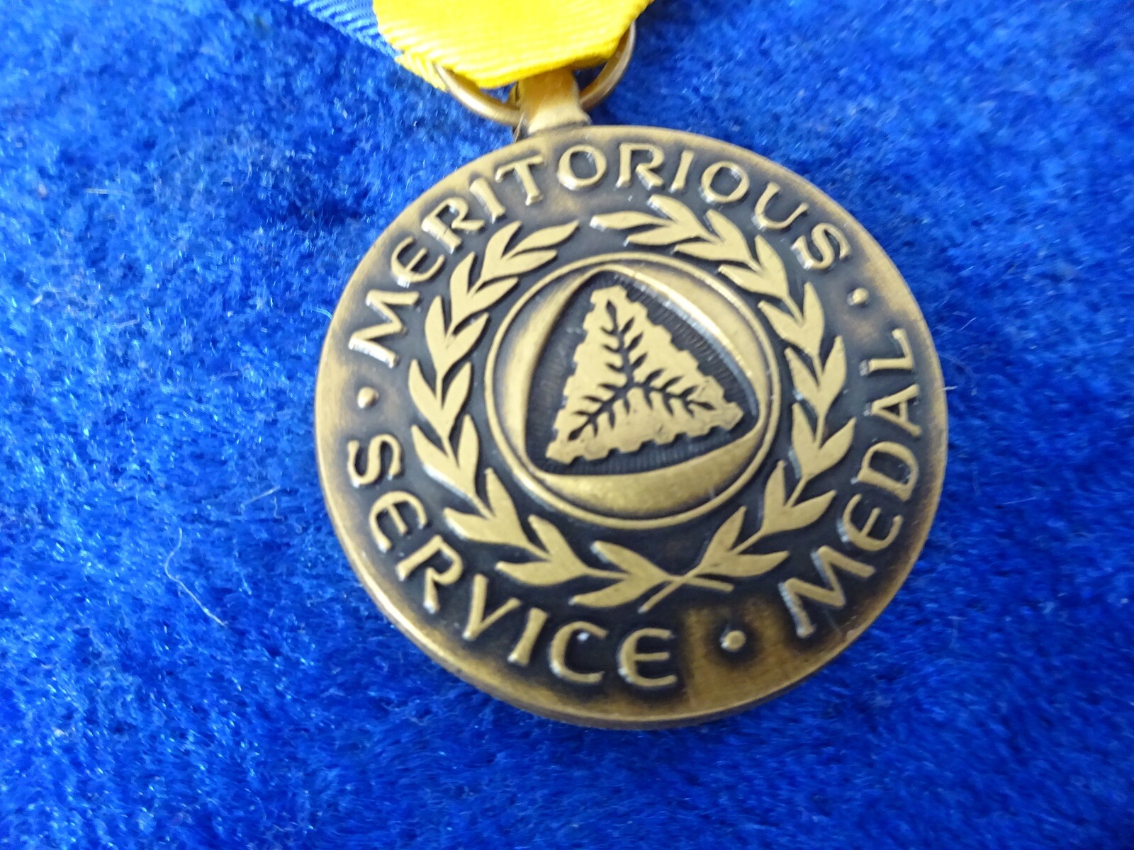 (A52-14) US Virgin Islands National Guard Meritorious Service Medal ...