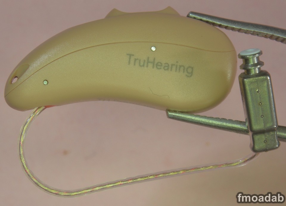 PAIR OF SIGNIA/TRUHEARING TH PREMIUM 6 RIC LI RIC RECHARGEABLE HEARING ...