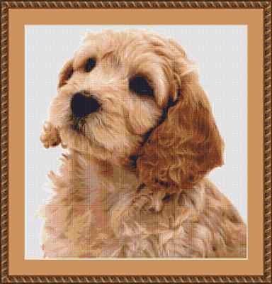 Cockapoo Dog Cross Stitch Kit | eBay