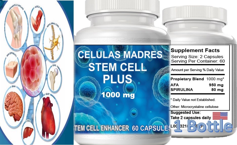 NEW STEM CELL ENHANCER 60 CAPS, 1000 Mg REGENEX CELULAS MADRES 60 caps ...