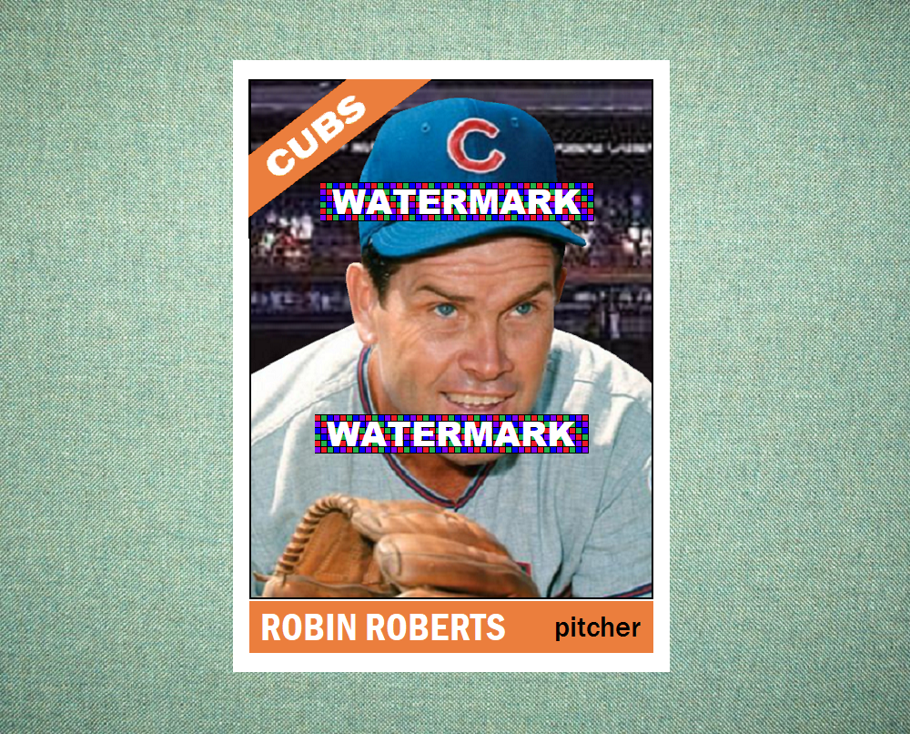 Robin Roberts Chicago Cubs 1966 Style Custom Baseball Art Card | eBay