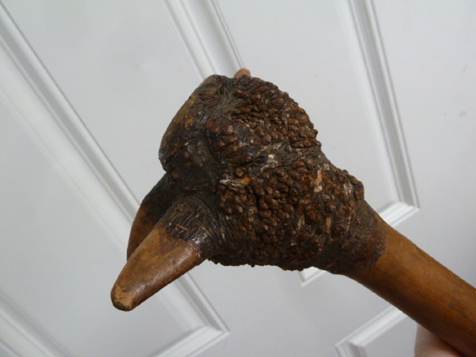 CLUB-5 Genuine Penobscot Native American Root club war weapon ...