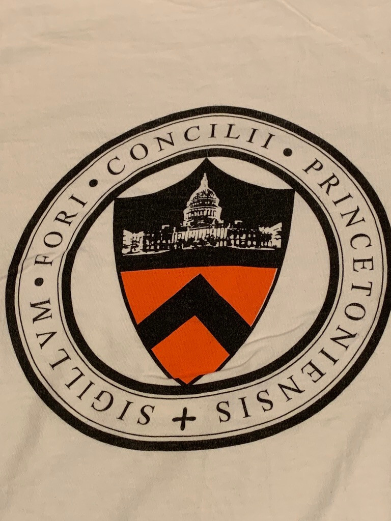 Vintage Princeton University 1996 Model Congress T-Sh… - Gem