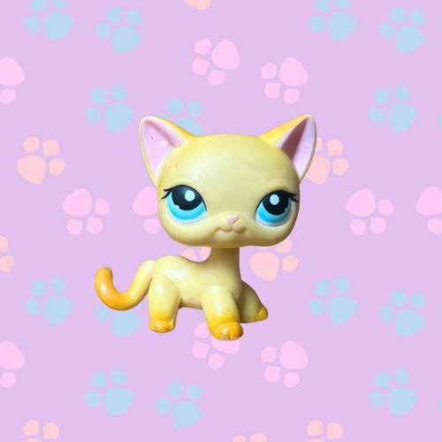 Littlest Pet Shop Short Hair Orange Cat #339, Brooke Hayes, Blue eyes ...