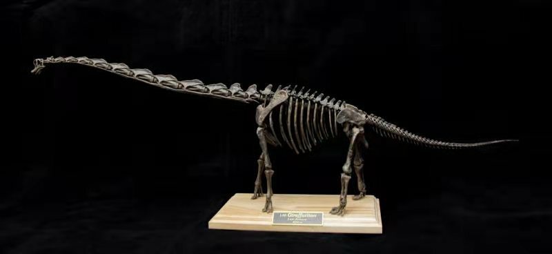 Brachiosaurus Skeleton Model
