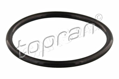 Thermostat Gasket Fits VW AUDI SEAT SKODA Amarok Beetle Caddy III ...