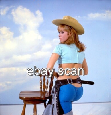 JOCELYN LANE CHEESECAKE ELVIS MOVIES STAR 8X10 PHOTO 4 | eBay