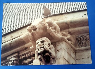 Postcard Pig & Piglets Mouth Puller Gargoyles Notre Dame Brussels 1997 ...
