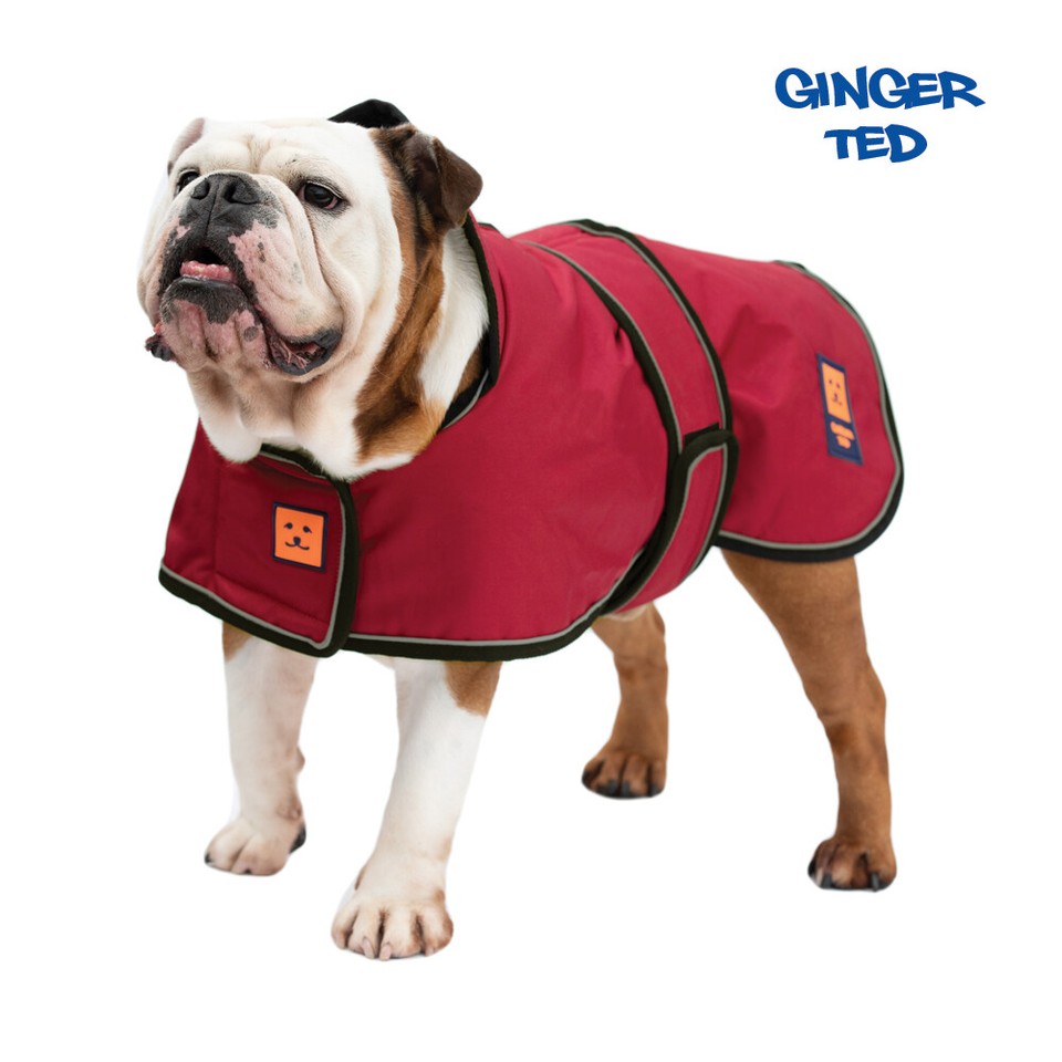 Ginger Ted Waterproof Bulldog Frenchie Dog Coat - warm harness, barrel ...