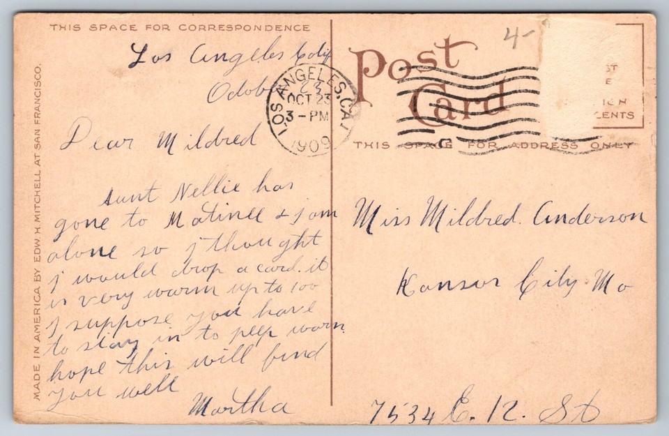 Vintage Postcard Giant Hydrangea Bush Pretty Girl c1909 Divided Back ...