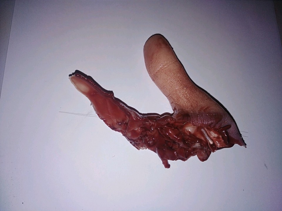 Silicone horror movie prop severed thumb chopped off gore prank film ...