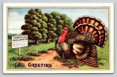 Thanksgiving Turkey Greetings Postcard | eBay
