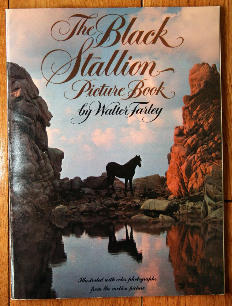 Black Stallion Book