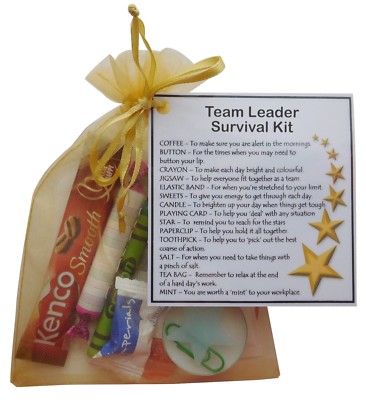 Team Leader Survival Kit - New job, Secret santa gift for Team Leader ...