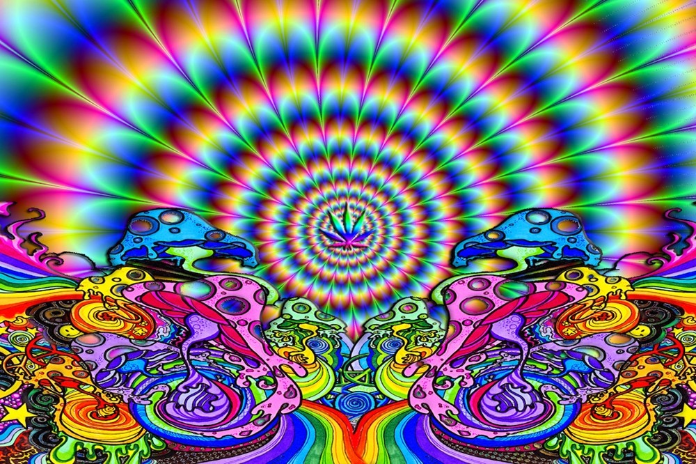 TRIPPY HIPPIE FRACTAL - WEED POSTER 24x36 - POT MARIJUANA 52875 | eBay