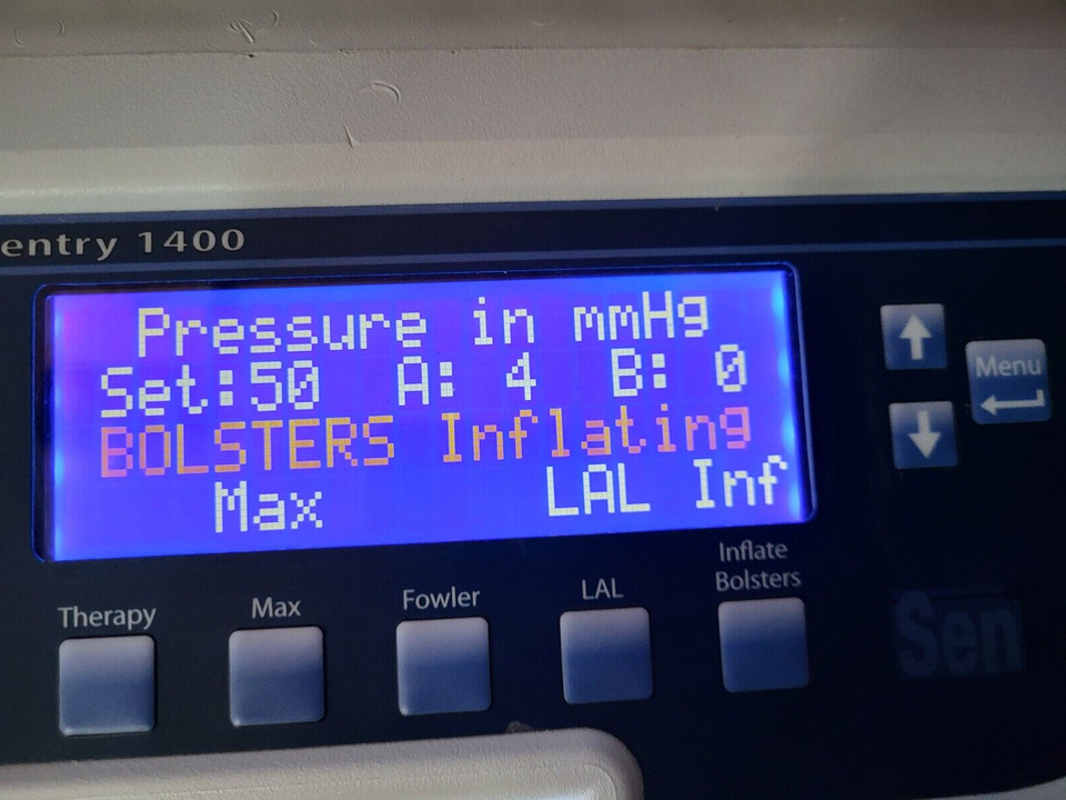 *NICE* SenTech Sentry 1400 Pressure Relief System Pump | eBay