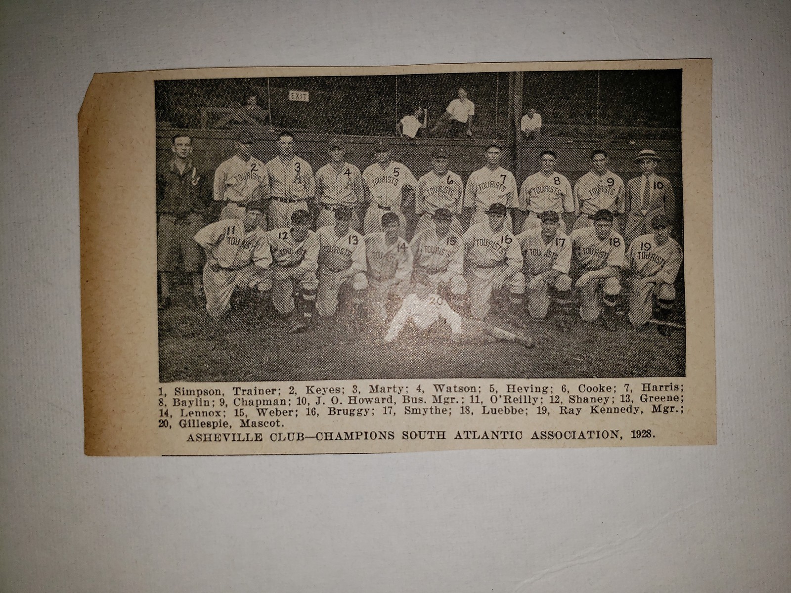 Asheville Tourists 1928 Team Picture Joe Heving Roy Luebbe Ben Chapman ...
