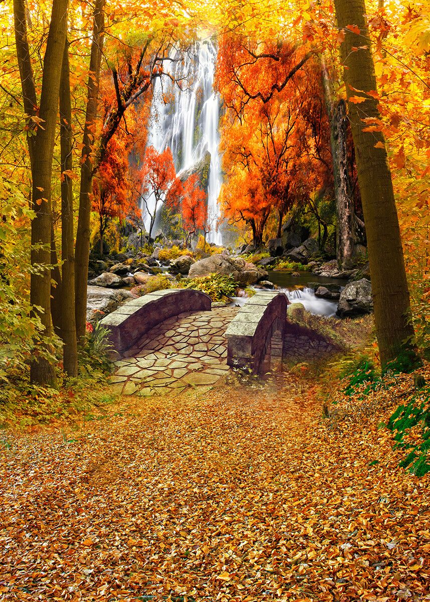 Stone Forest Bridge Autumn