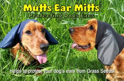 Dogs Ear Protectors/Protection Mutts Ear Mitts® Spaniel, Ear Cover/Hood ...