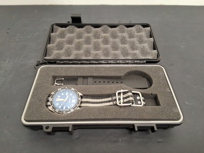Sangin Professional Watch, Sea Blue Dial, Divers Bezel - SERVICED | eBay