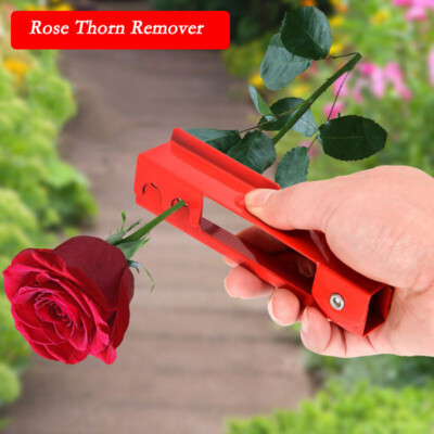 Thorn Remover Leaf Xmas Flower Rose Stem Stripper Floristry Metal ...