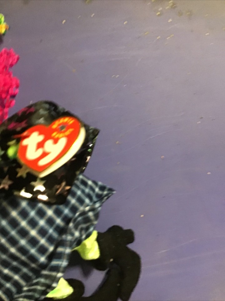 TY Beanie Baby - SCARY the Witch (7 inch) - MWMTs Stuffed Animal Toy | eBay