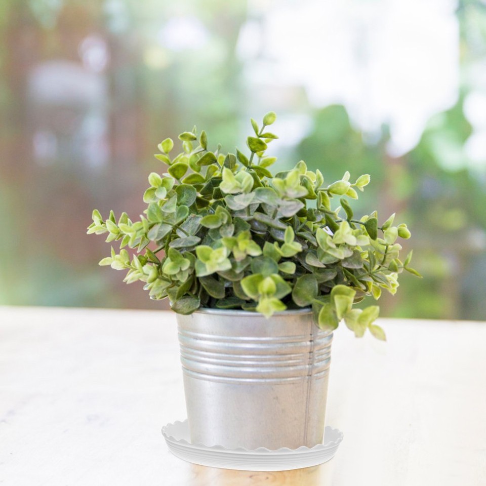 10pcs Plants Pot Saucer Plants Pot Tray Round Wave Plants Drip Tray for ...
