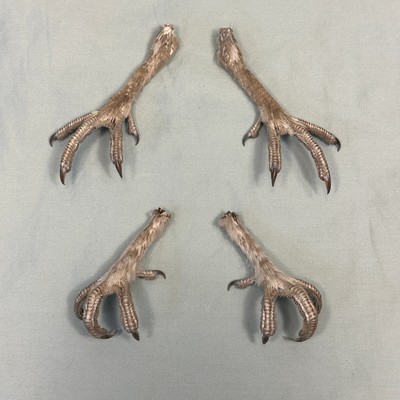 2 PAIR DRIED GROUSE LEGS real preserved natural feather taxidermy bird ...